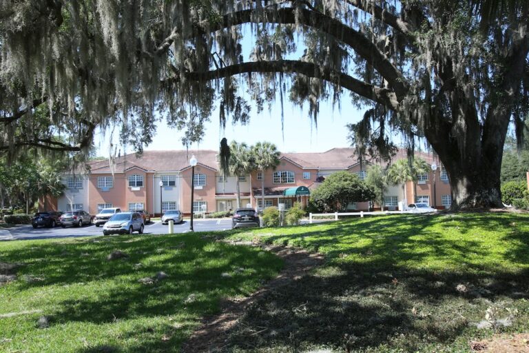 My Special Place The Villages